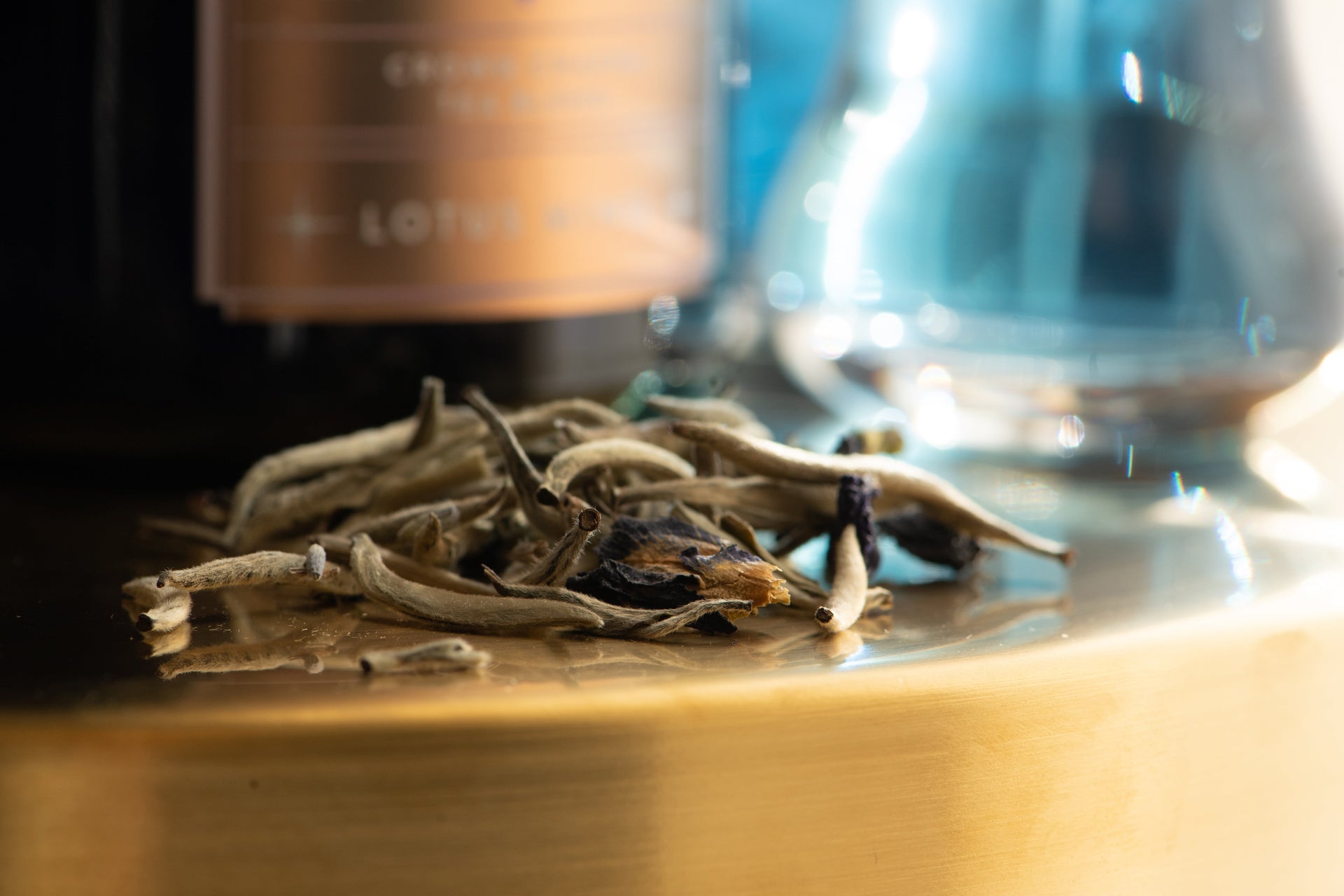 Explore The Extraordinary Essence Of Lotus Mind - Magic Hour