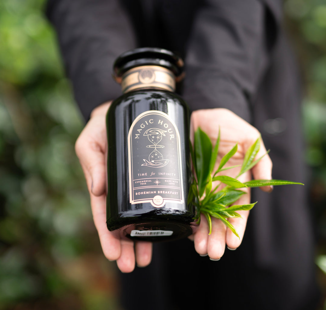 Magnolia Oolong Tea - Magic Hour