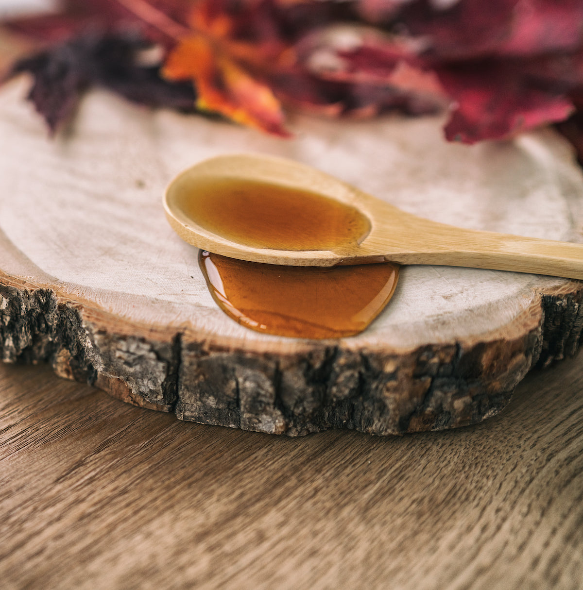 Maple Oolong: Cozy & Connected | Magic Hour