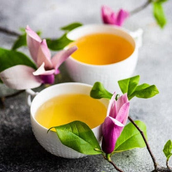 Magnolia Oolong Tea - Magic Hour