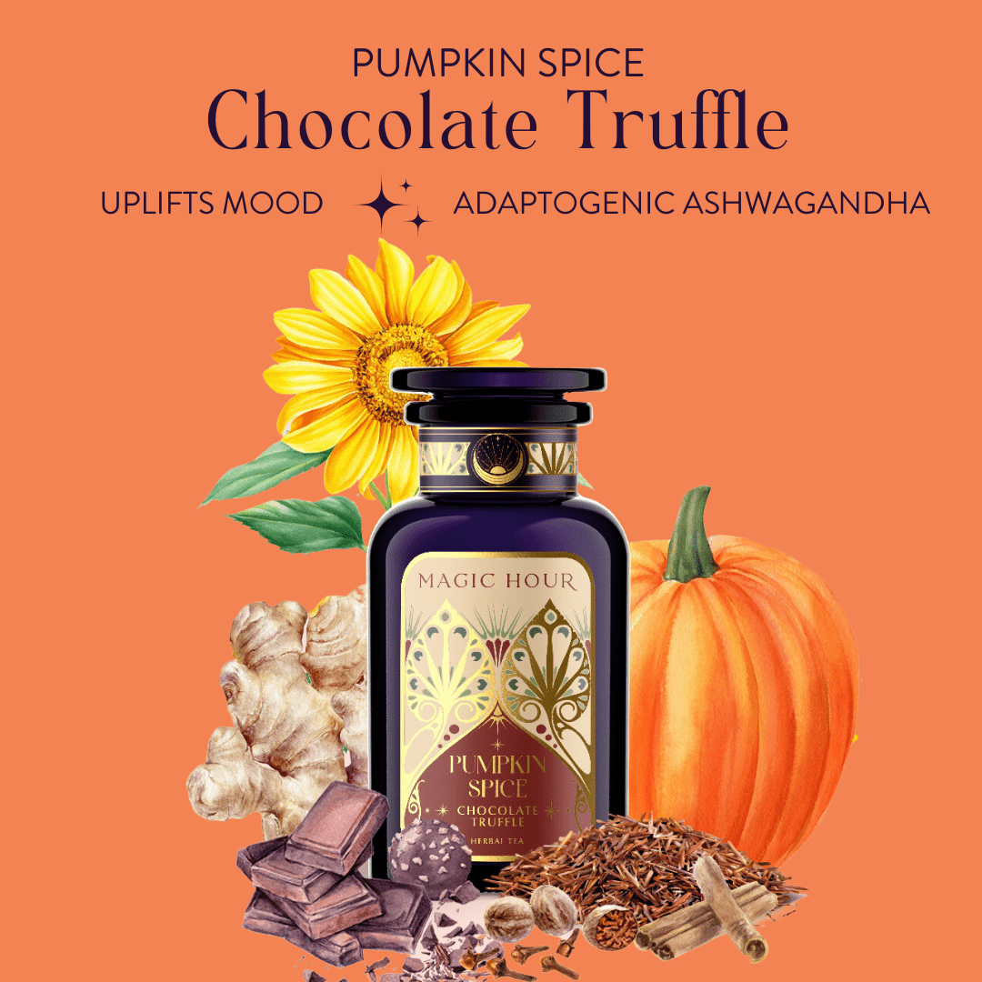 Pumpkin Spice Chocolate Truffle | Magic Hour | Clubmagichour.com