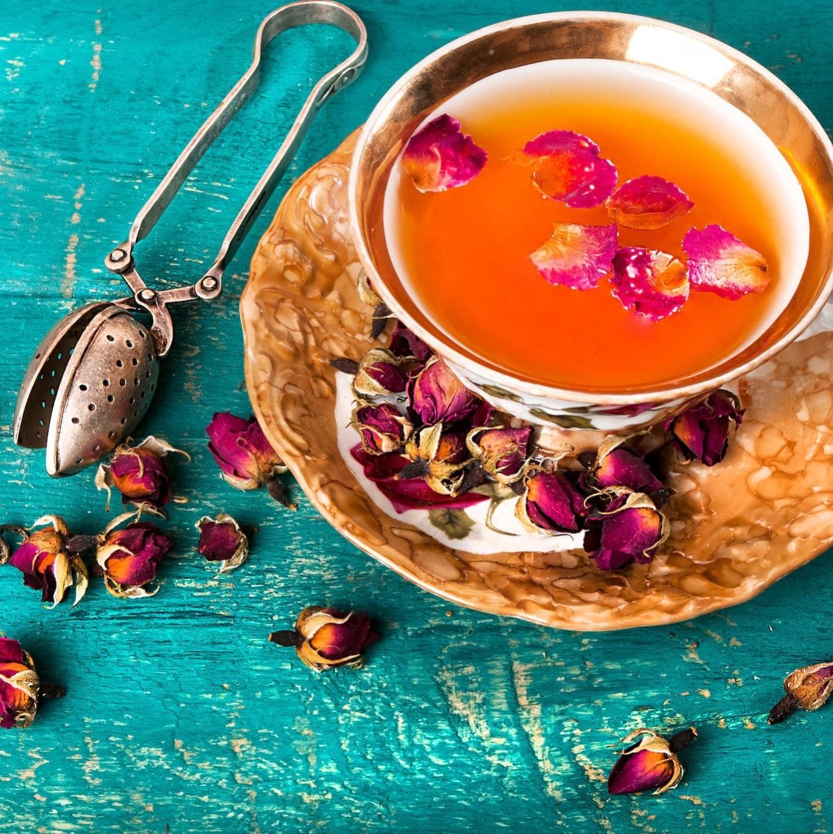 Siberian Rose Buds - Magic Hour