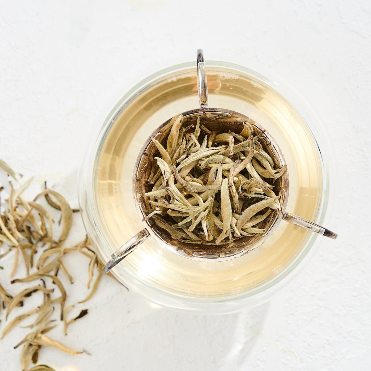 White Tea Sampler Box – Magic Hour